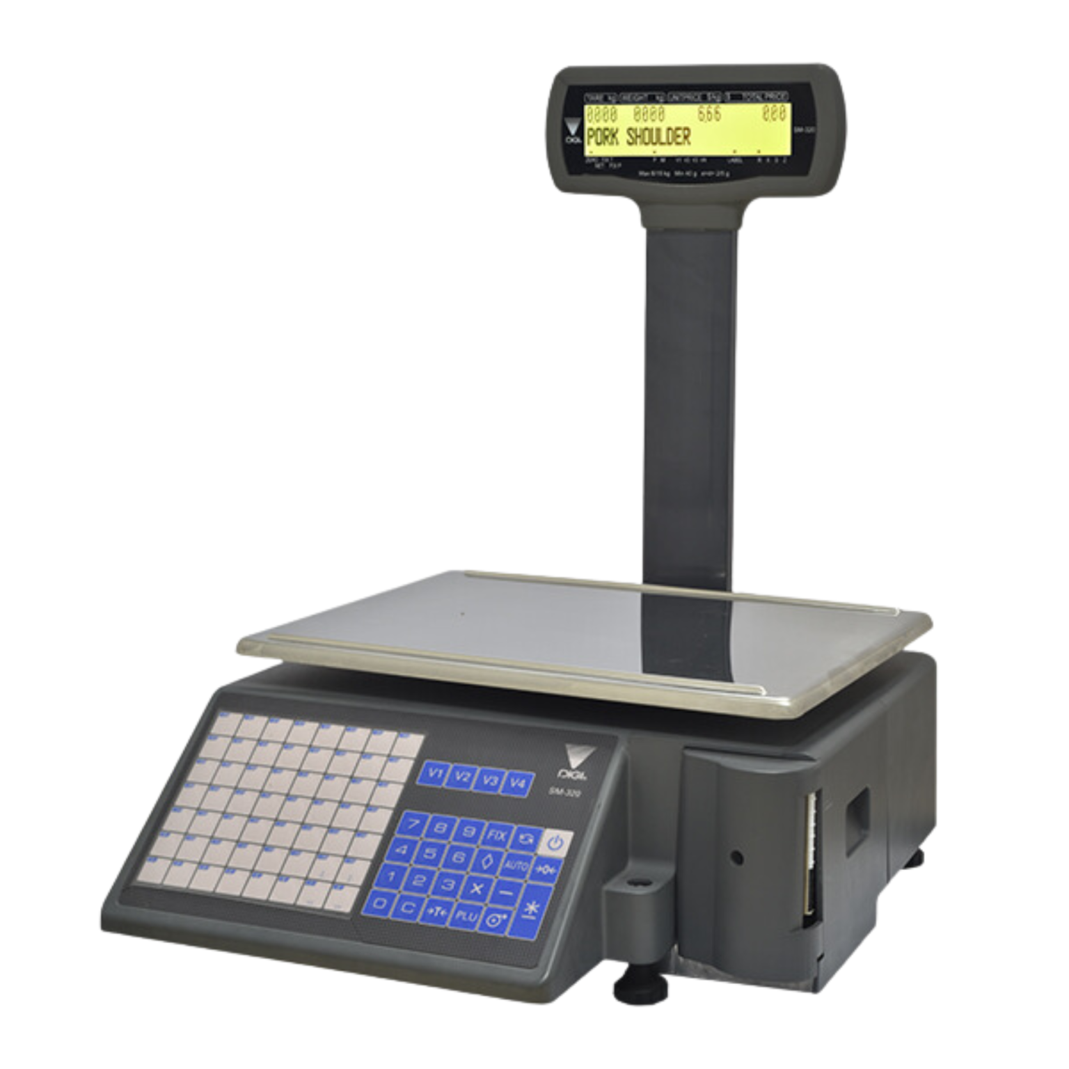 DIGI SM 320 | Label Printing Scale | Dubai, UAE